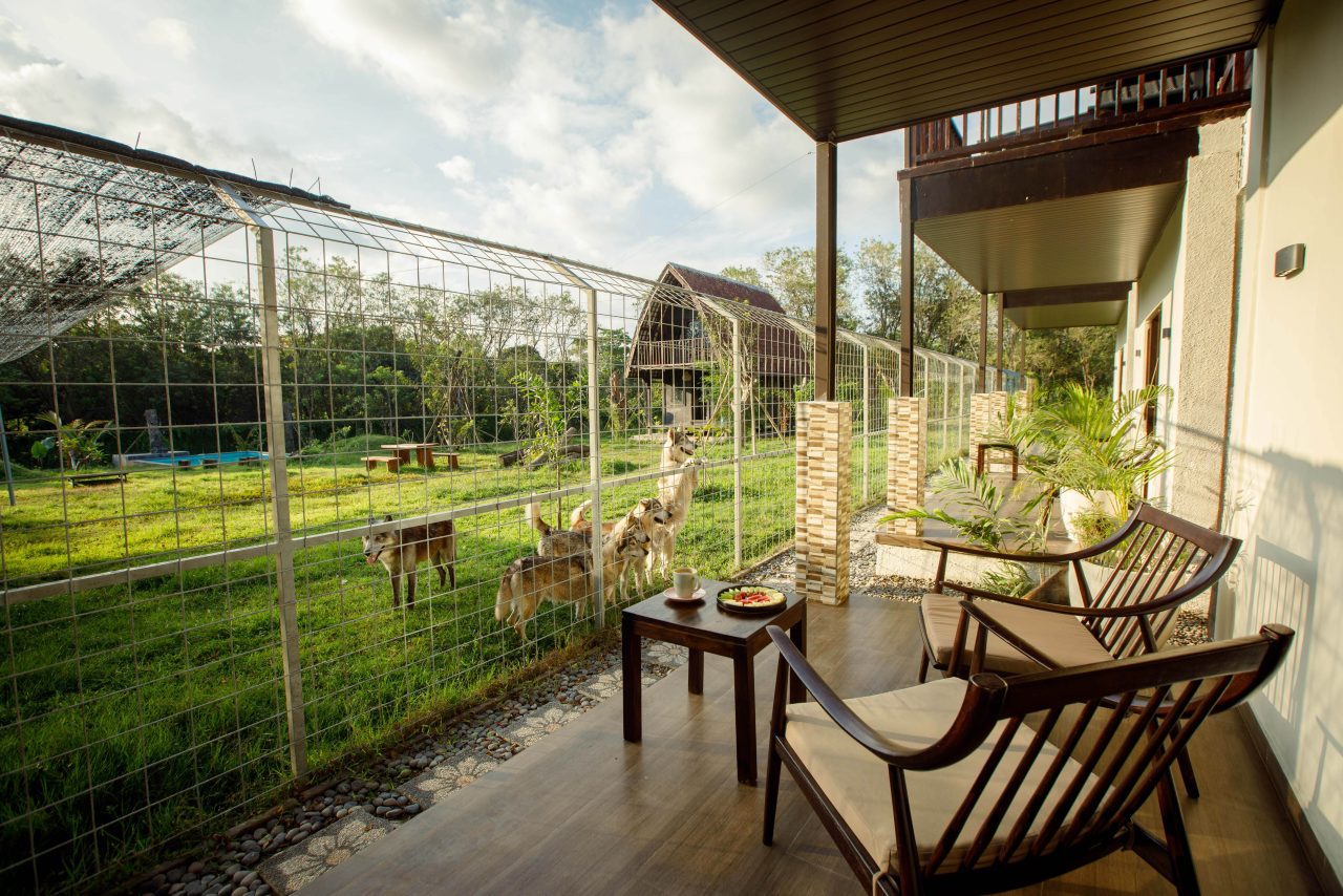 VILLA BOOKING | Alpha Wolf Lodge
