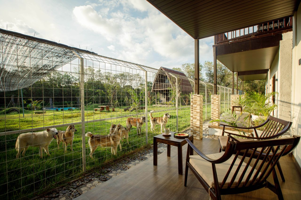 VILLA BOOKING | Alpha Wolf Lodge