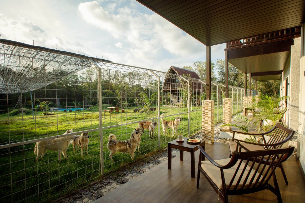 VILLA BOOKING | Alpha Wolf Lodge