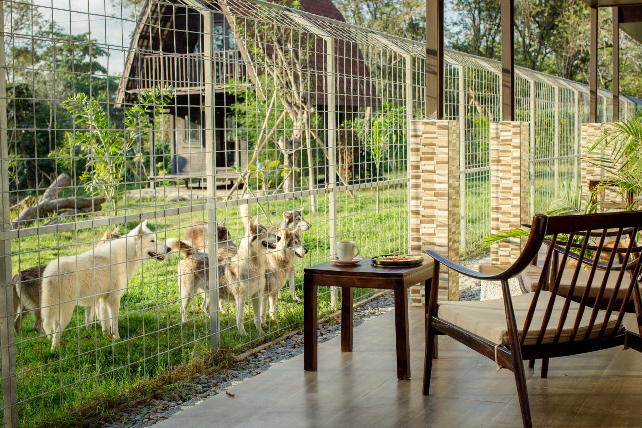 VILLA BOOKING | Alpha Wolf Lodge