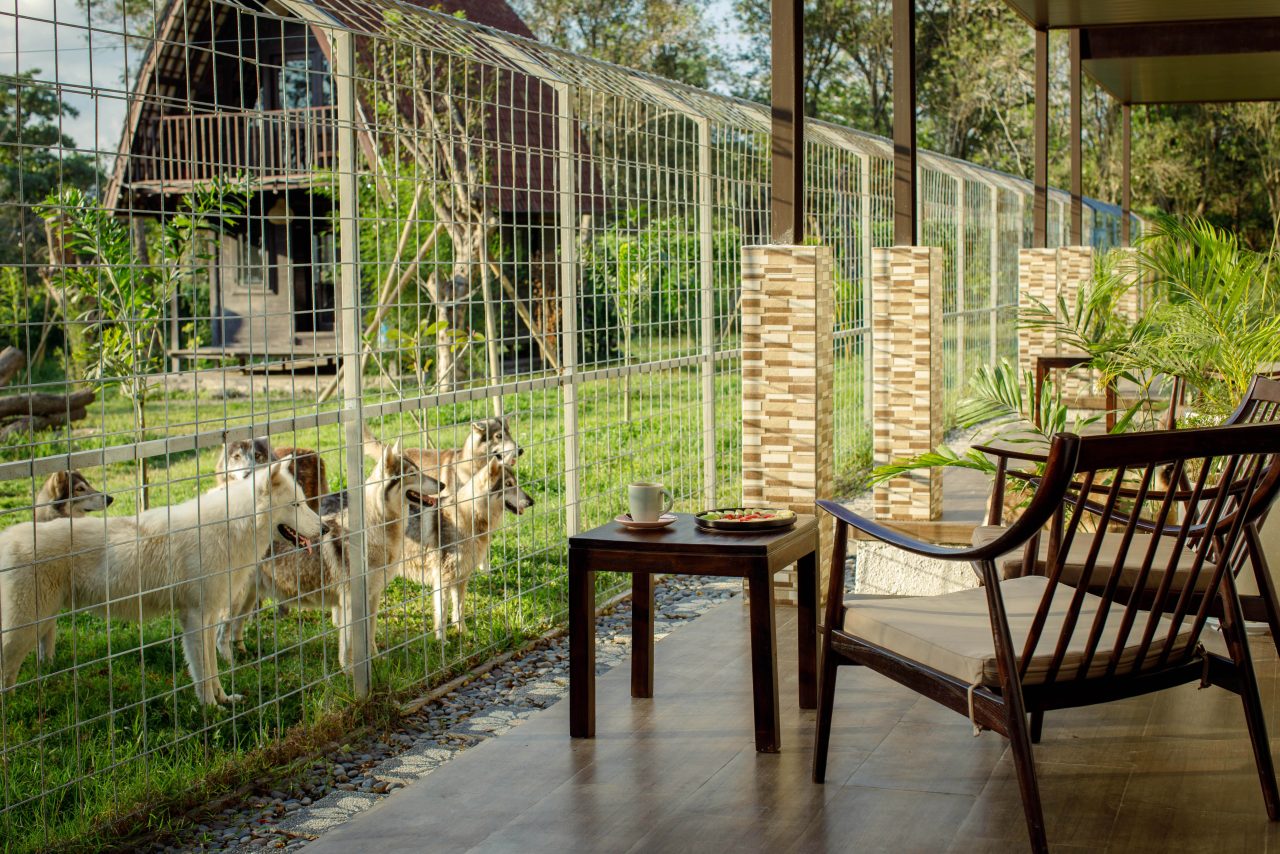 VILLA BOOKING | Alpha Wolf Lodge