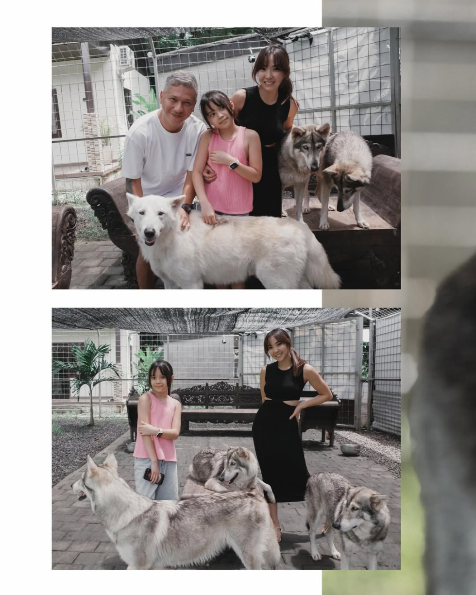 GALLERY | Alpha Wolf Lodge