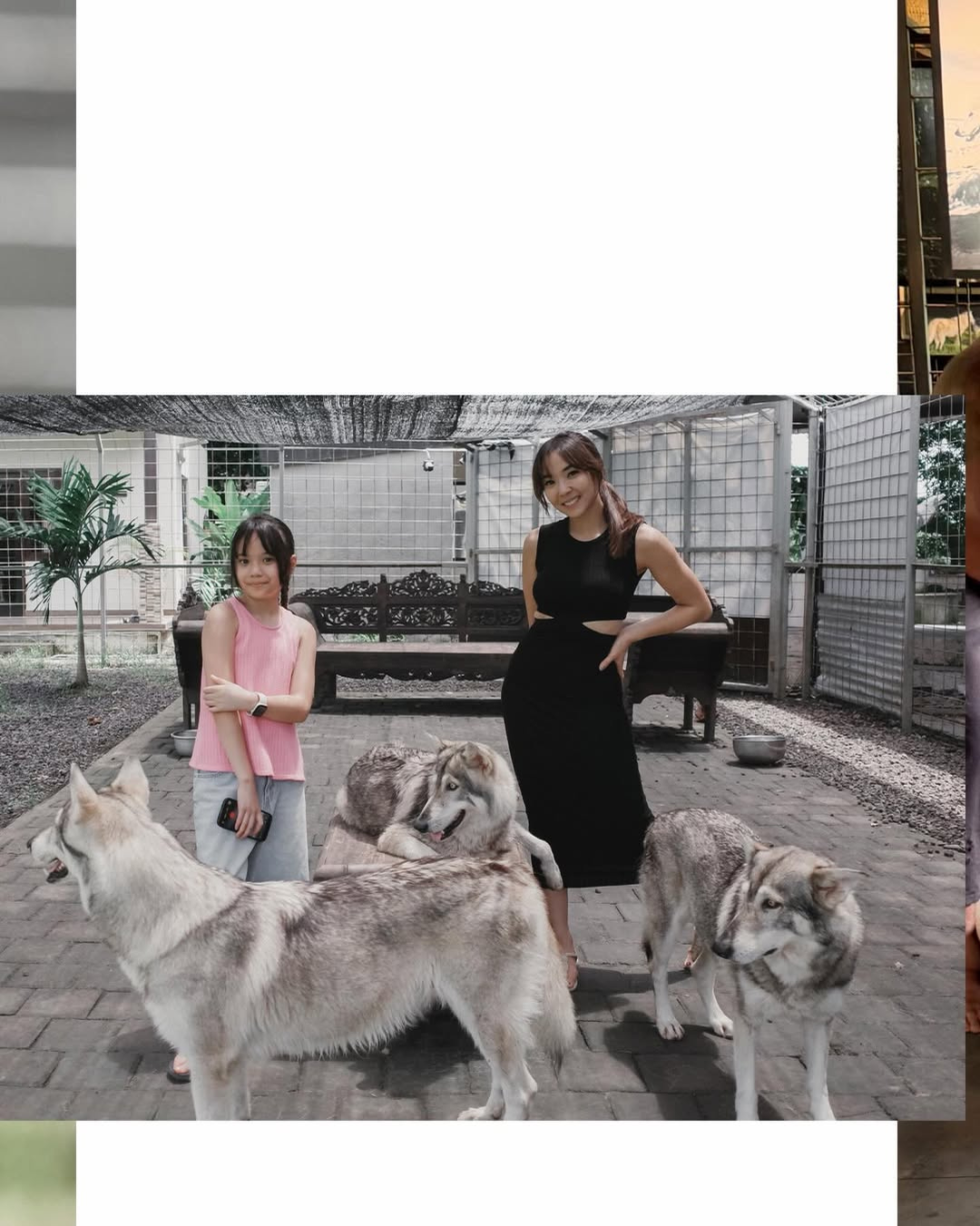 GALLERY | Alpha Wolf Lodge